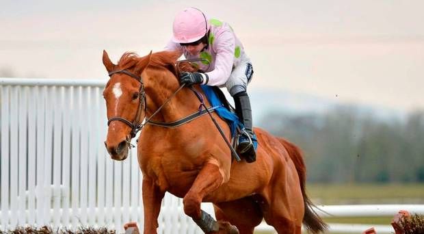 Annie Power setback robs us of the perfect Champion…