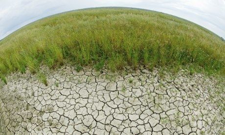 Why synthetic soil holds the key to a sustainable…