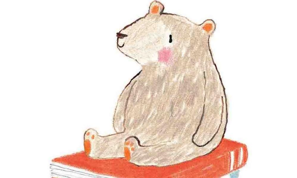 The Everywhere Bear by Julia Donaldson and Rebecca…
