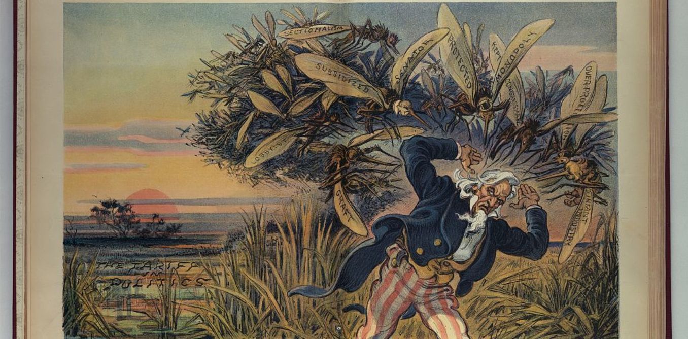 Draining the swamp: A guide for outsiders and career…