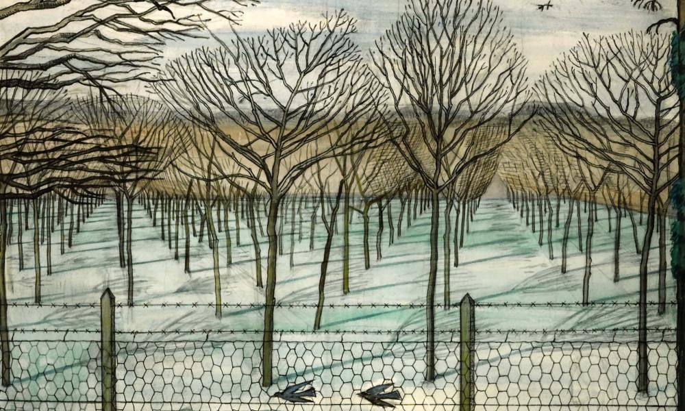 Top 10 books about trees