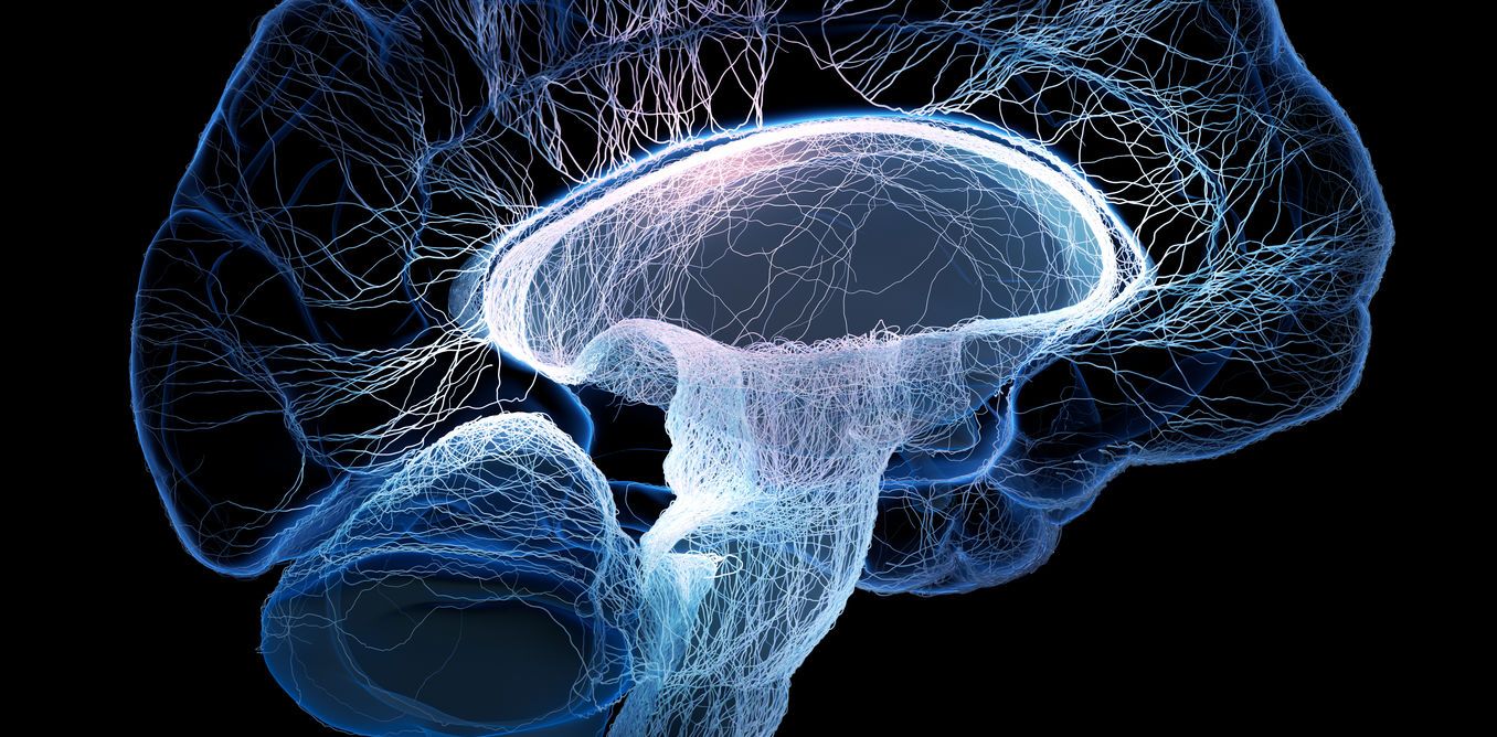 Study of one-handed people reveals how the brain…