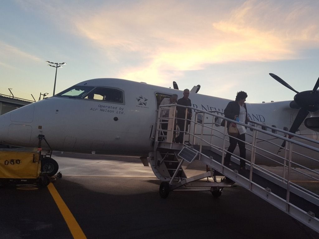 Air NZ flight delayed because of rabbit on runway