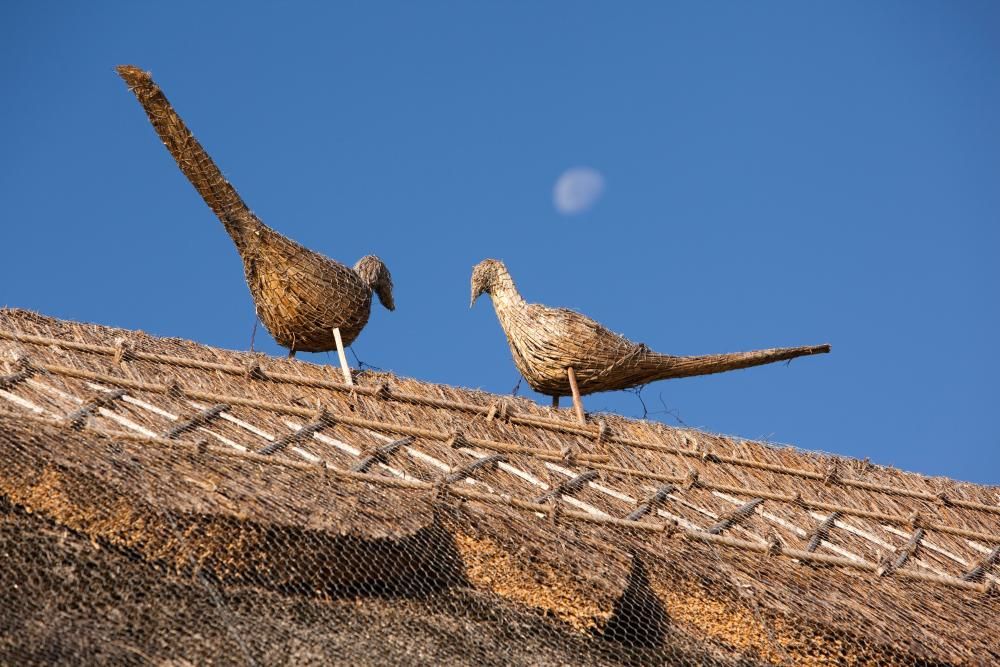In the rooftop realm of straw animals