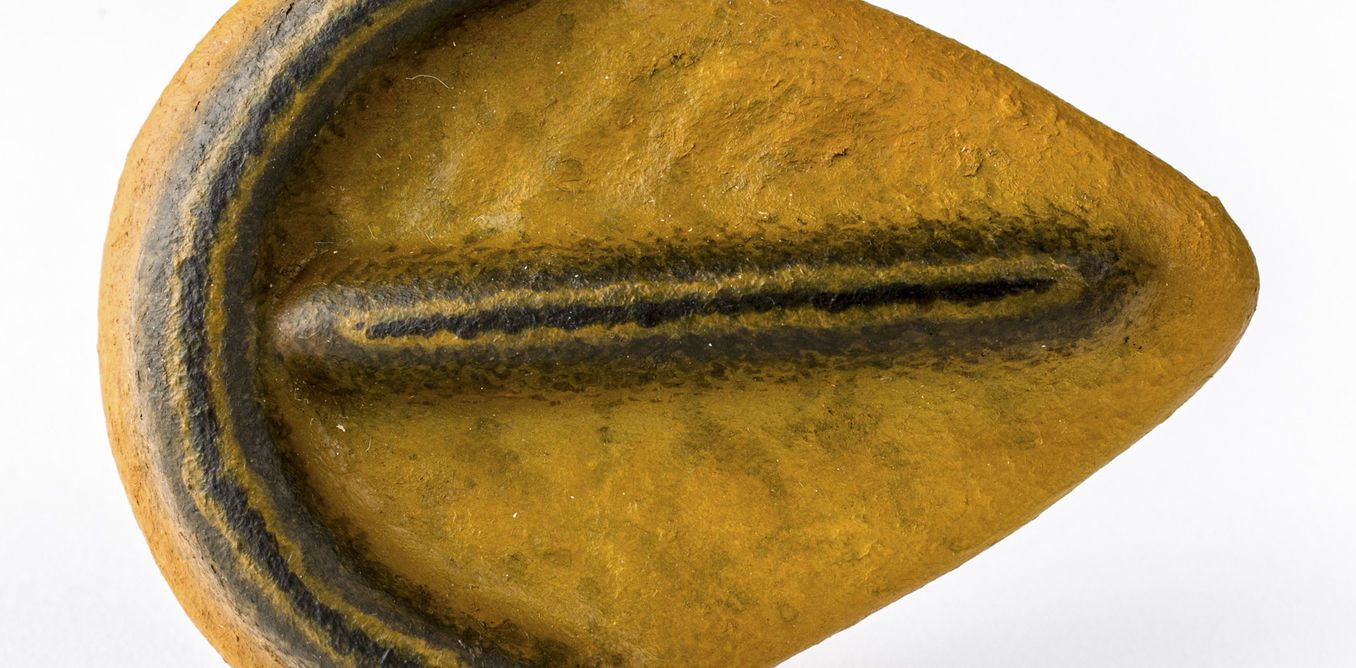 Reverse engineering mysterious 500-million-year-old…