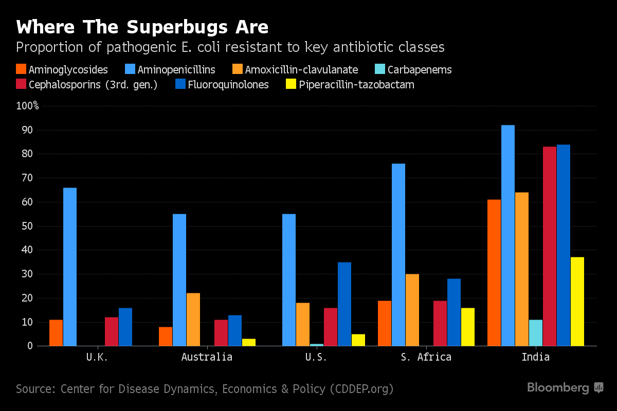 Poultry Farms in India Resemble Superbug Reservoirs,…