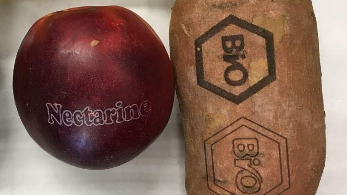 Fruit tattoos set to replace stickers and plastic…