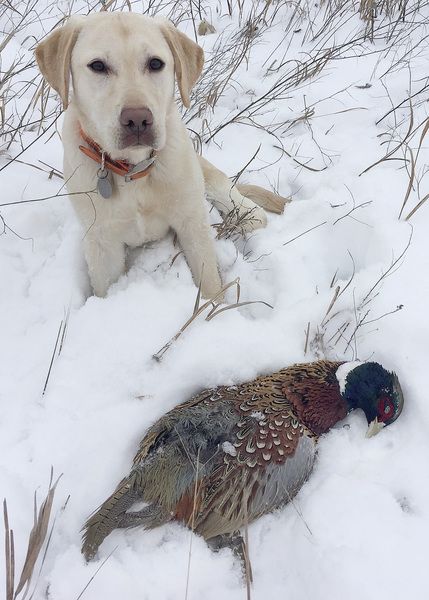 Sam Cook: 40 years later, Minnesota man reflects on…