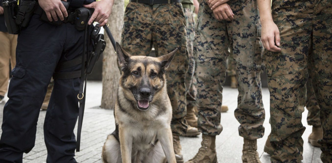 Should America be the world's cop? What the experts say