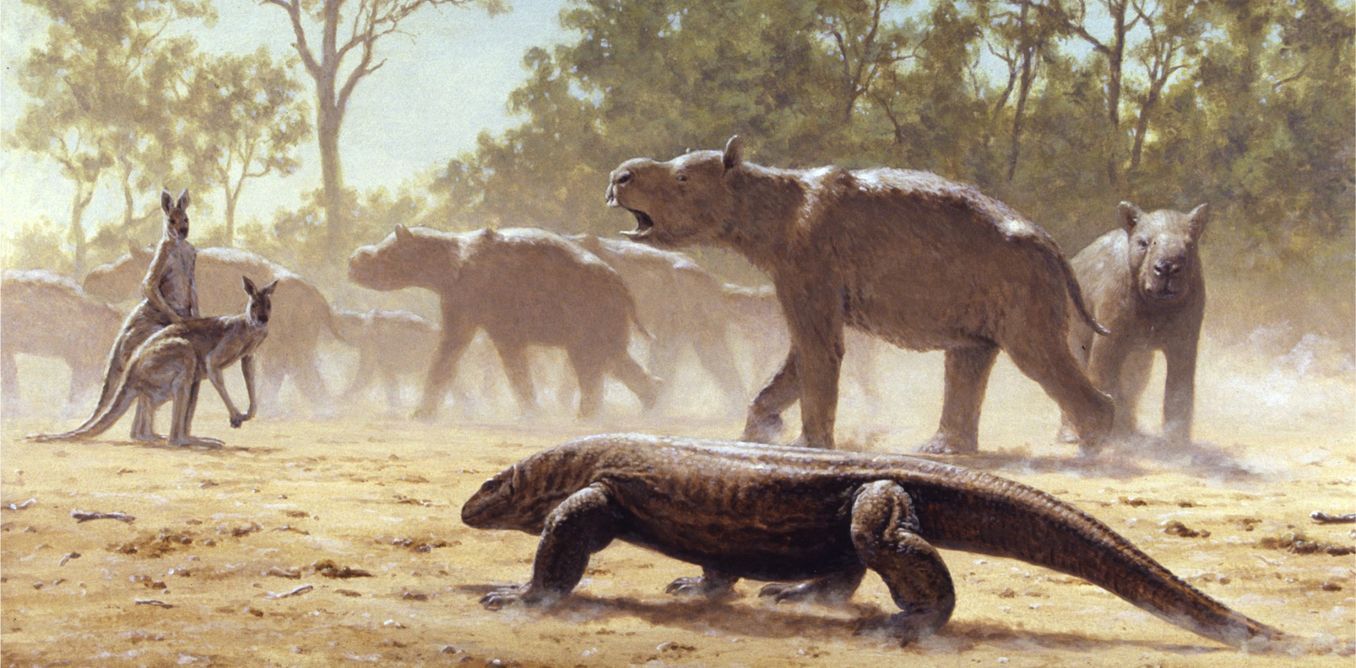 Giant marsupials once migrated across an Australian…