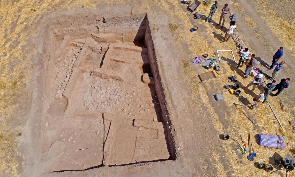 How ancient lentils reveal the origins of social…