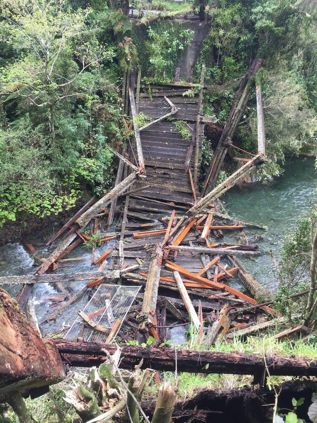 Historic bridge in Wellington collapses into river