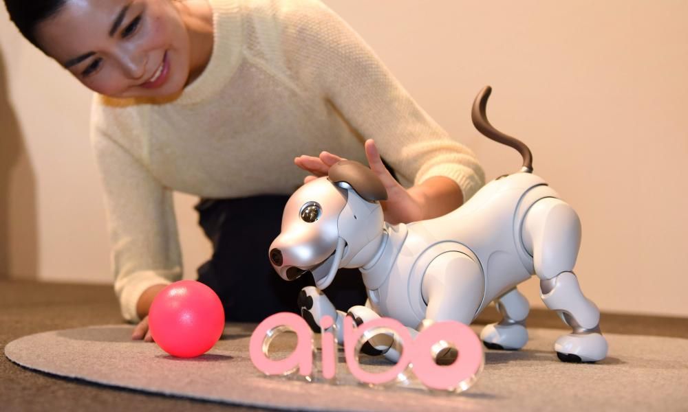 Sony brings its AI-infused robotic dog Aibo back from…