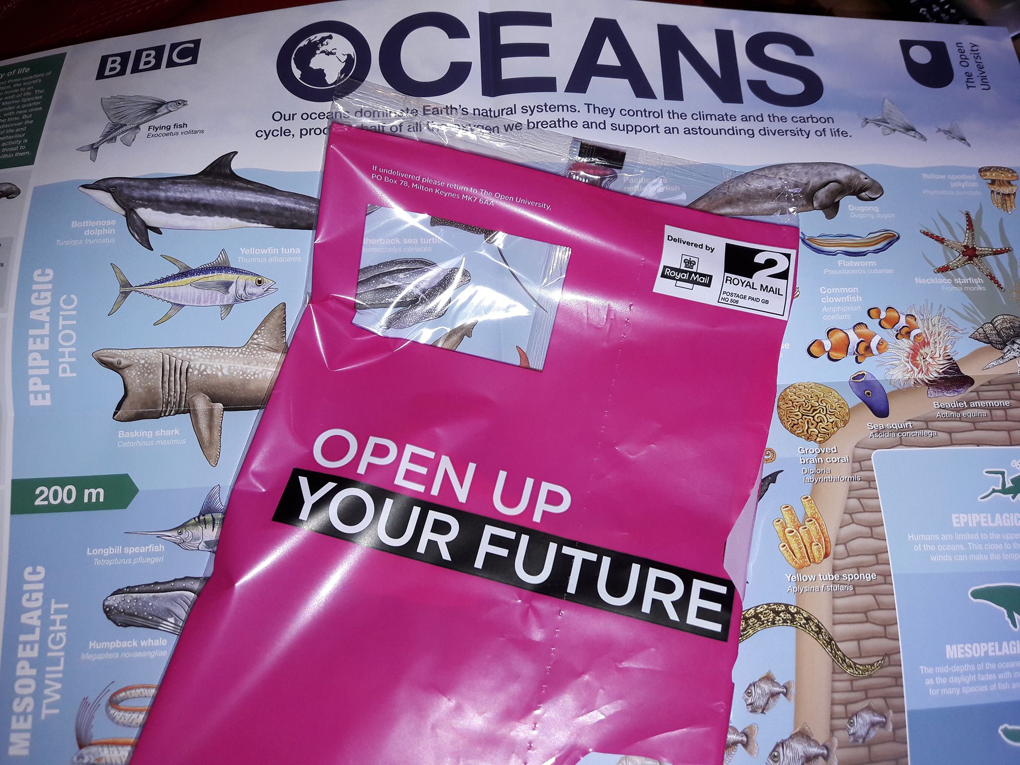 BBC Blue Planet viewers receive posters warning of…