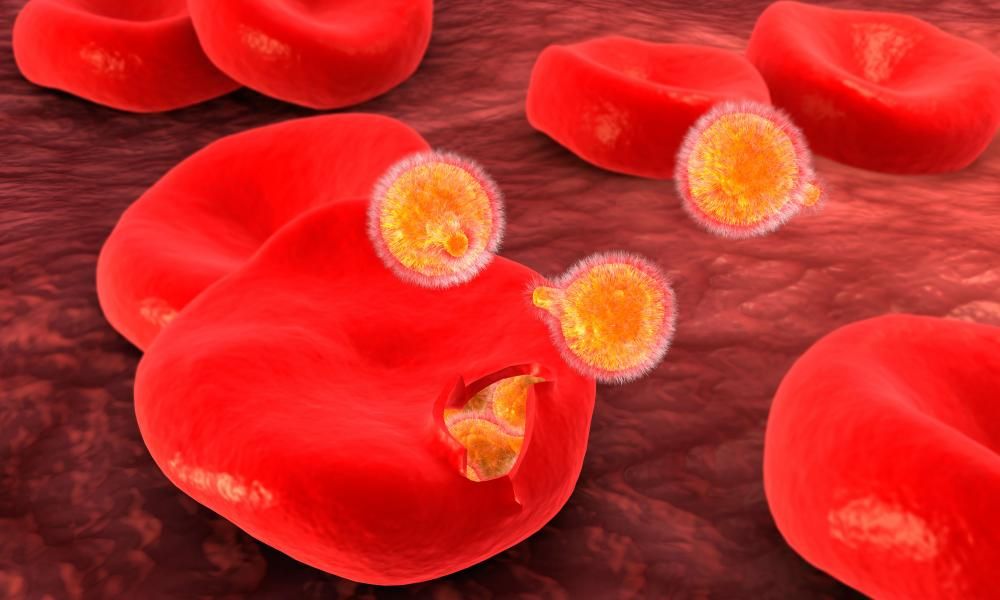 The Beautiful Cure by Daniel M Davis review – how our…