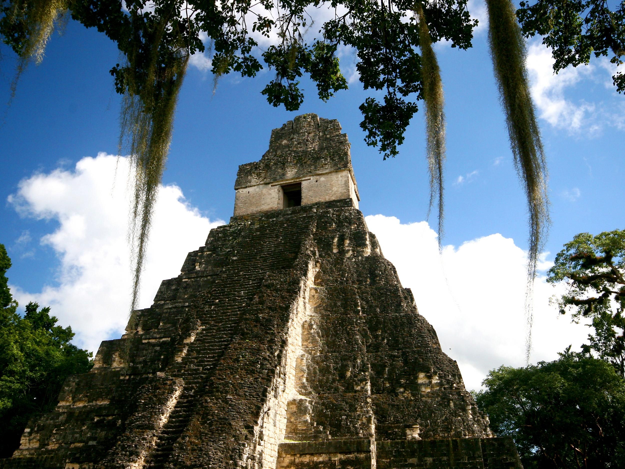 Thousands of ancient Maya 'Snake King' structures…