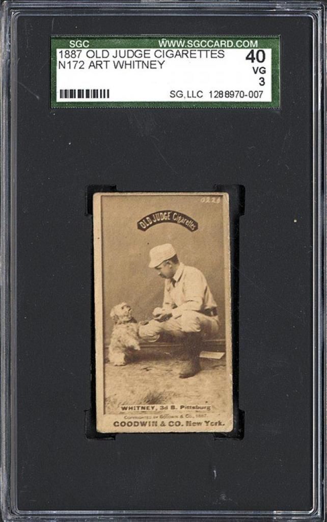 The Rich History Of Dogs And Baseball Cards
