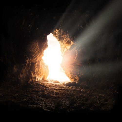 How The Team At BodeTree Discovered The Transformative…