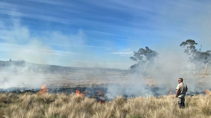 Burning questions: Ancient Aboriginal fire techniques…