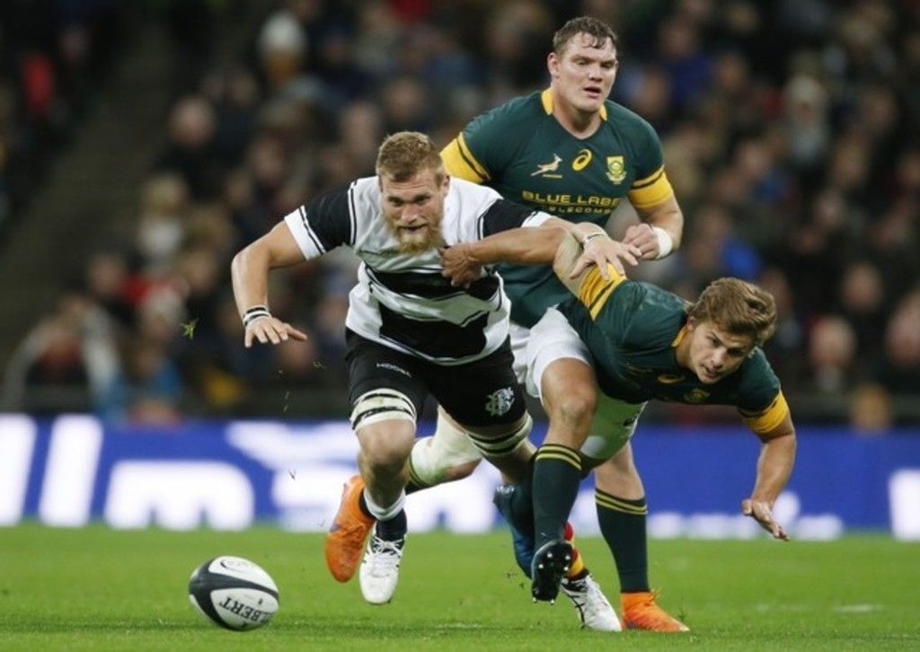 Rugby - Shields set for England squad after New…