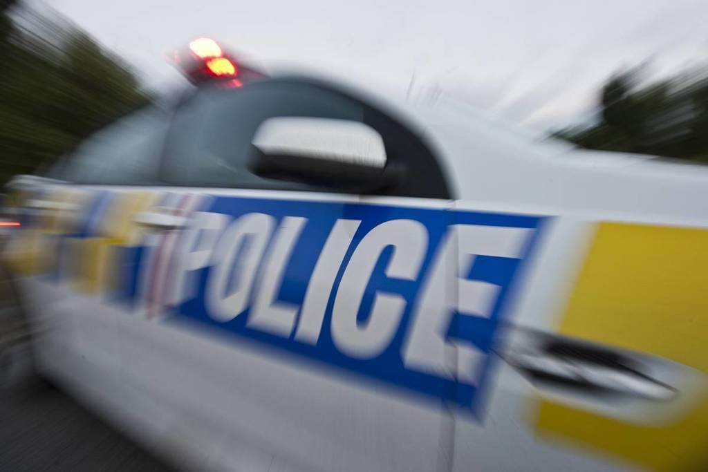 Man leads police on foot chase through Alexandra,…