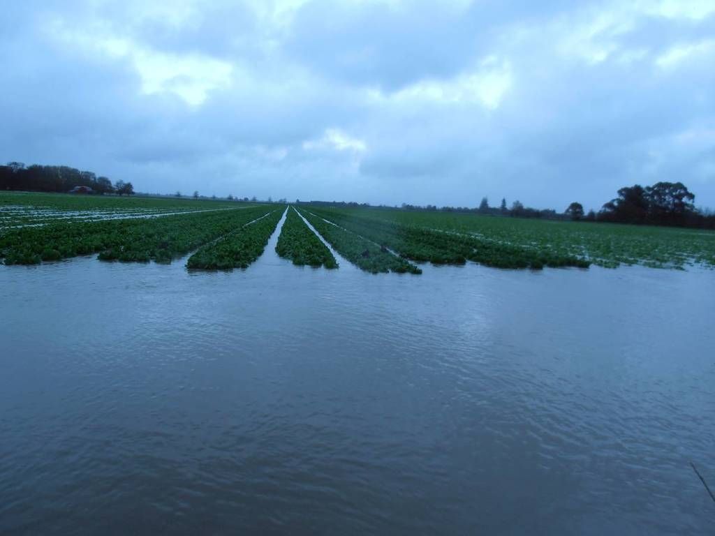 Winter deluge: Widespread flooding and damage to parts…