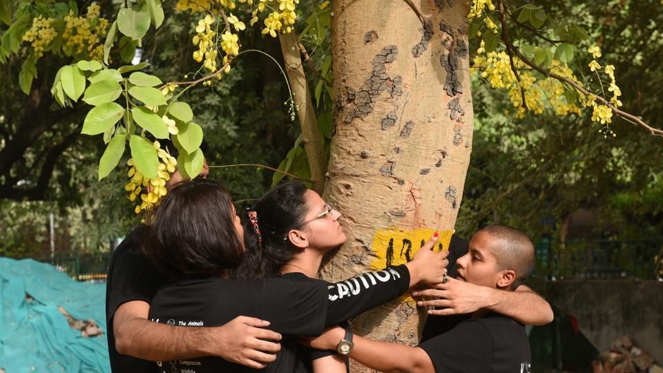 No trees to be cut in Delhi for redevelopment till…