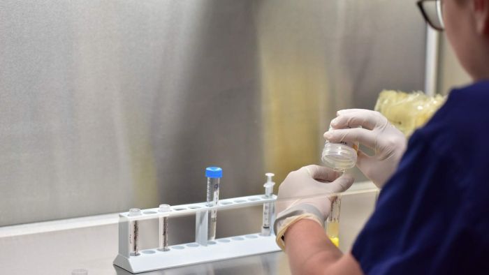 'Three-person IVF' one step closer in fight against…