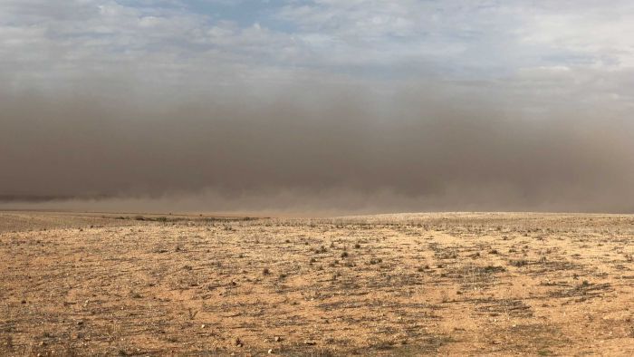 Dust storms stir up dusty Eyre Peninsula paddocks