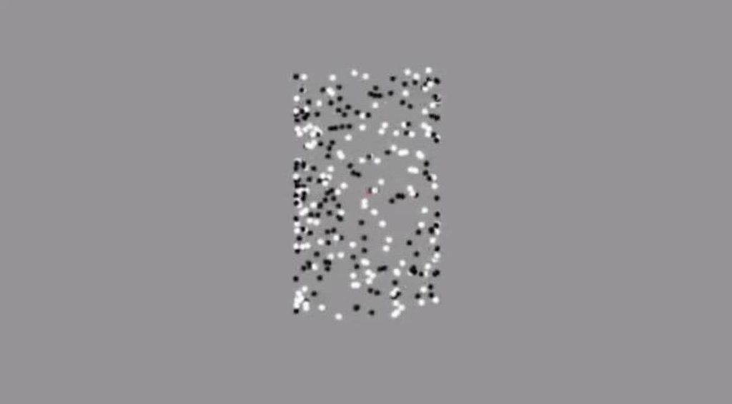 This optical illusion helps diagnose autism