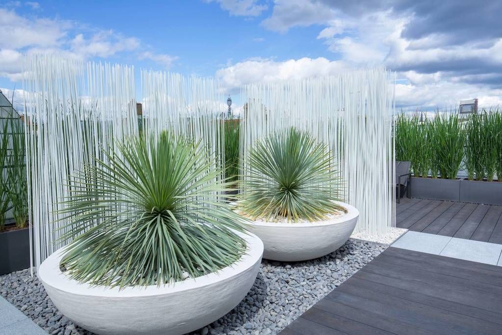 Super-sized outdoor plants to give your small balcony…
