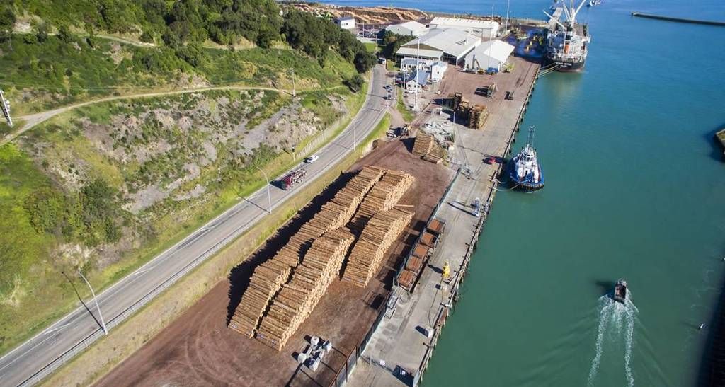 Worker killed by log at Eastland Port, Gisborne a…