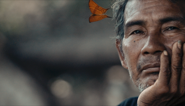 British explorer’s documentary gives voice to forest…