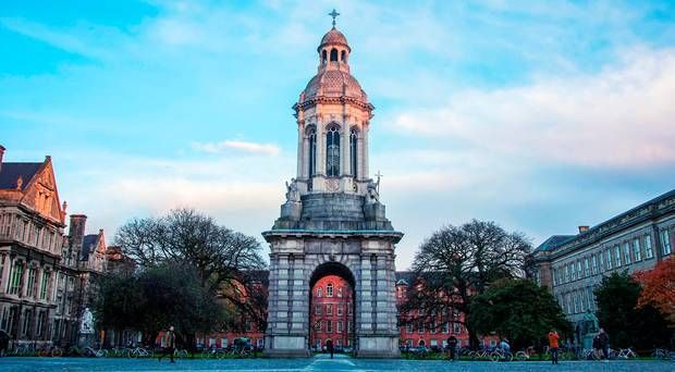 Trinity College scientists discover new link between…