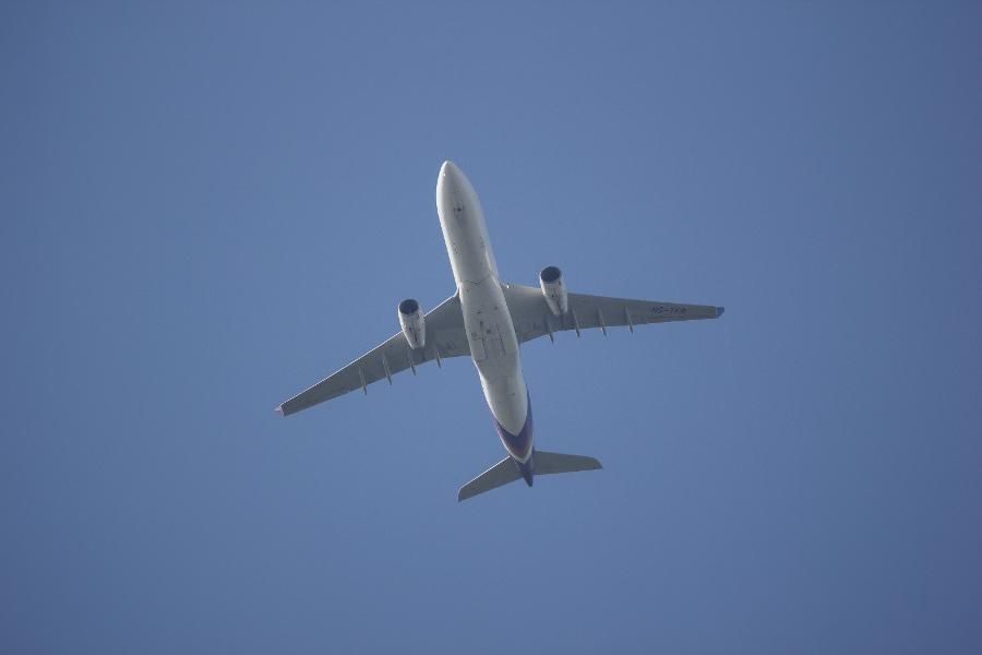Egypt's Nesma Airlines To Become Airbus A330 Operator