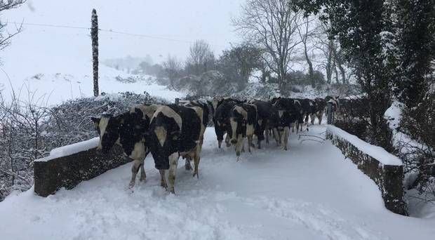 10 tips to cope with extreme weather events