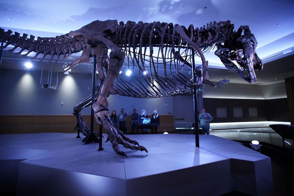 Sue, the world-famous T. rex, gets a new lair in…