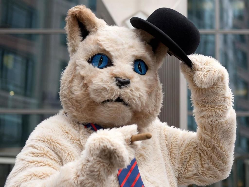 What is Fat Cat Friday? The date exposing the yawning…