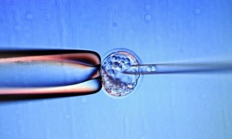 Scientists genetically modify human embryos in…