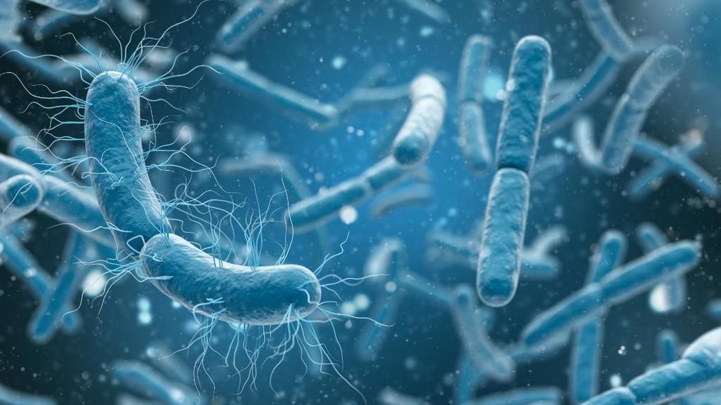 New Technique Could Put Electricity-Producing Bacteria…