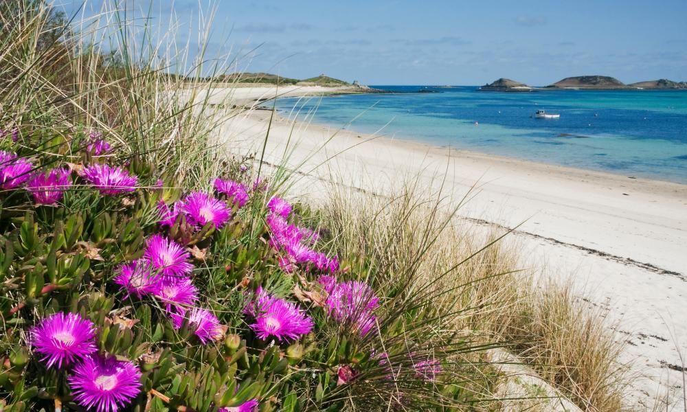 Scilly season: why spring is the best time to visit