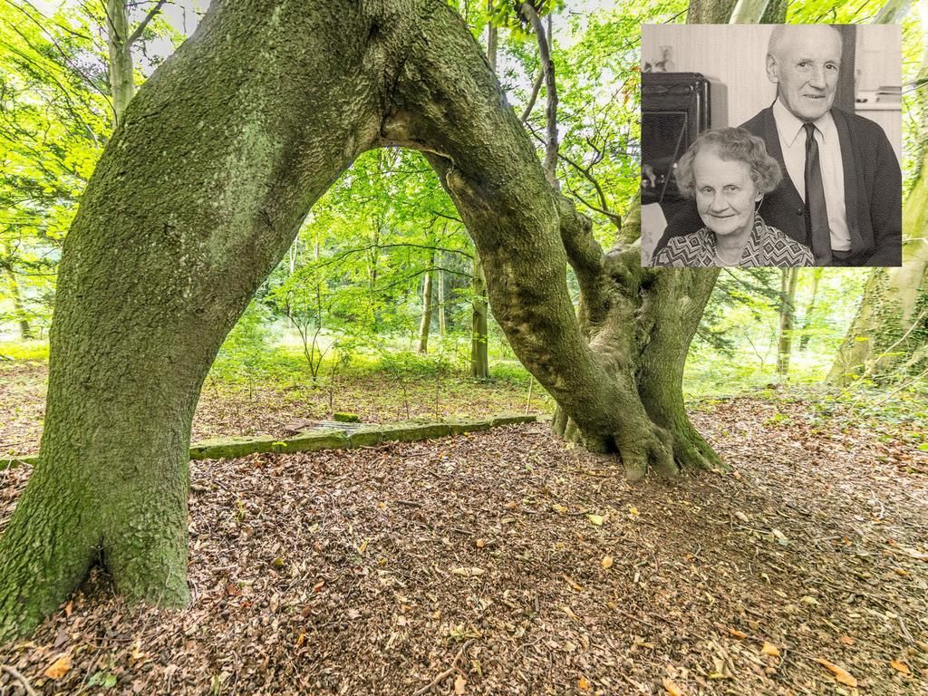 Yorkshire tree that tells a 100-year-old love story…