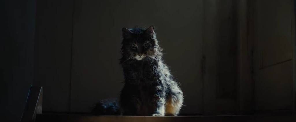 Hide your cat - the new Pet Sematary trailer is…