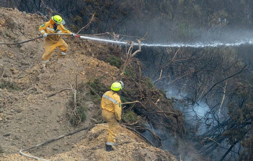 Nelson fire: All you need to know