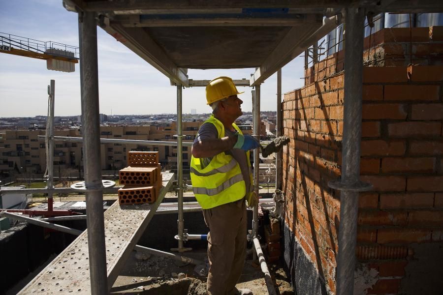 Could We Build Houses With Poop-Bricks?
