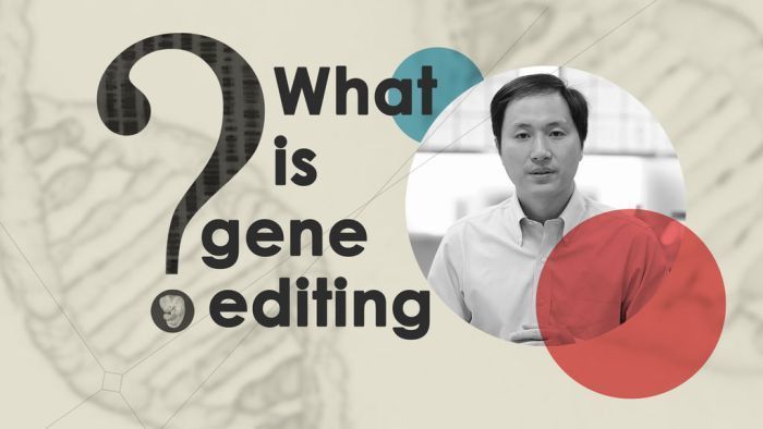 Scientists suggest gene-edited twins may have…