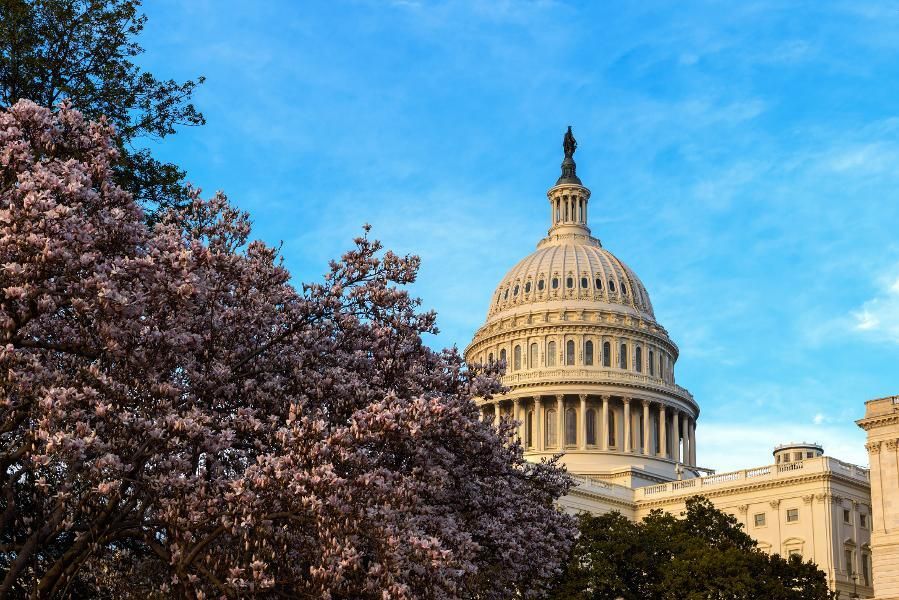 Congress Takes A New Look At The Safety Net For Older…