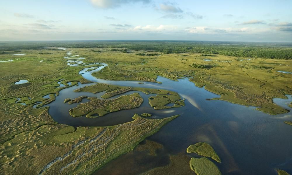 Everglades in crisis: can this Florida treasure avert…