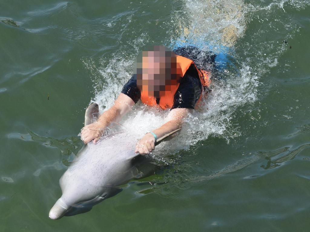 China builds dozens more 'cruel, deadly' dolphin and…