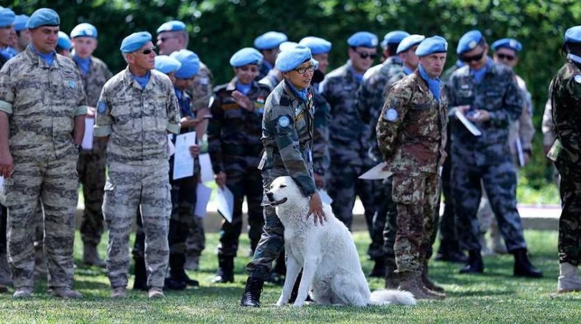UNIFIL Documents 6 Tunnels Crossing Blue Line Towards…